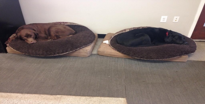 Find Builders Hardware and Tools, Lumber and Millwork at Sider Lumber